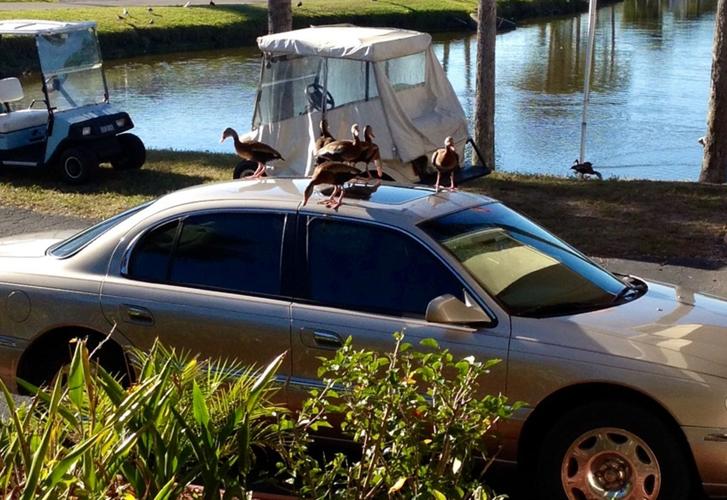 Untitled Story | News Archives | yoursun.com