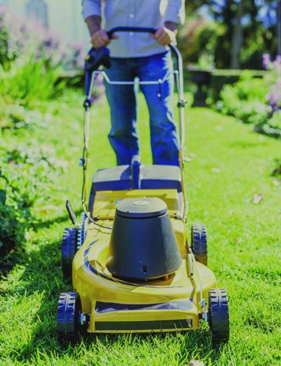 Rejuvenate a lawn with reseeding | News Archives | yoursun.com