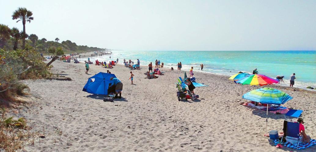 Want to hunt for shark teeth & shells? Visit Caspersen Beach Park ...