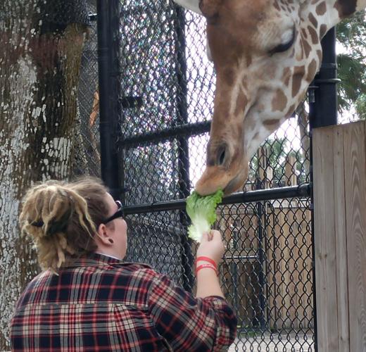 New Concepts by Visions visits Central Florida Zoo | Newsarchives ...