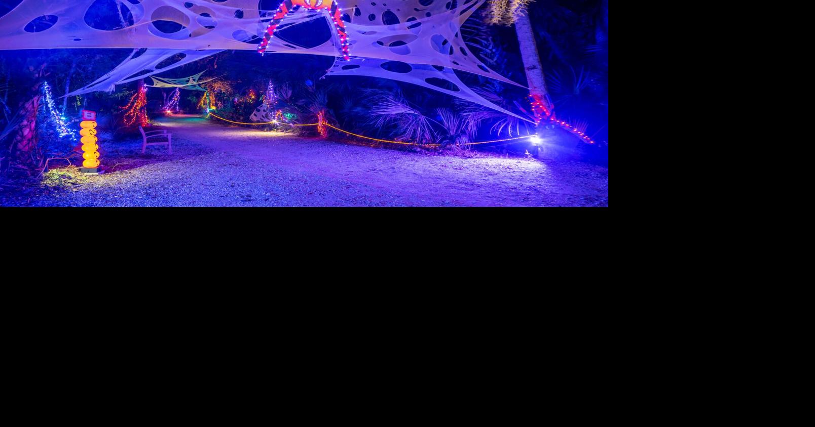 Encounter whimsical Halloween displays and imaginative light ...