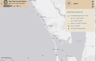 Breathing easier without red tide on Gulf beaches | News | yoursun.com