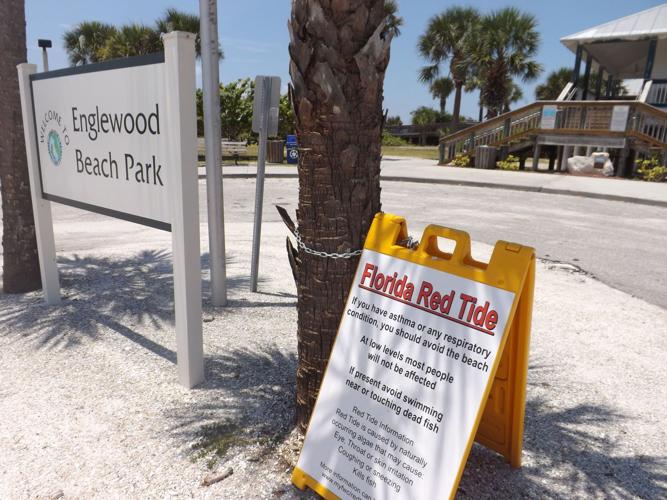 Red tide does sink local economy, study shows | | yoursun.com