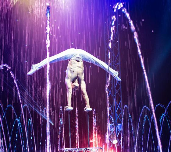 The Cirque 'Water Circus Gold' arrives downtown | Multimedia | yoursun.com