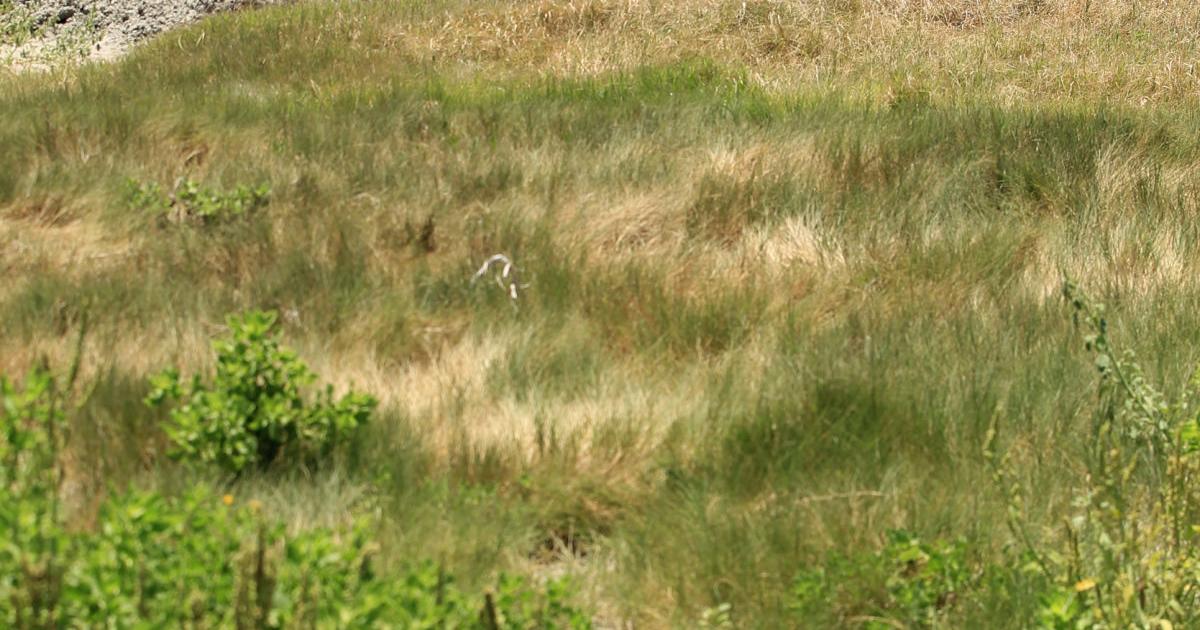 Slack Tides | Waterline | yoursun.com