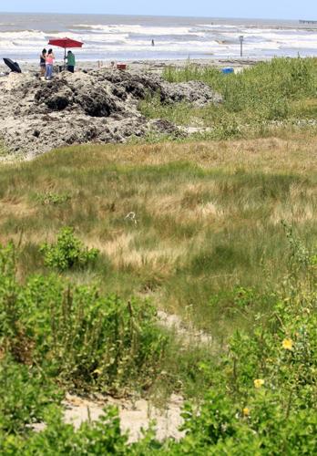 Slack Tides | Waterline | yoursun.com