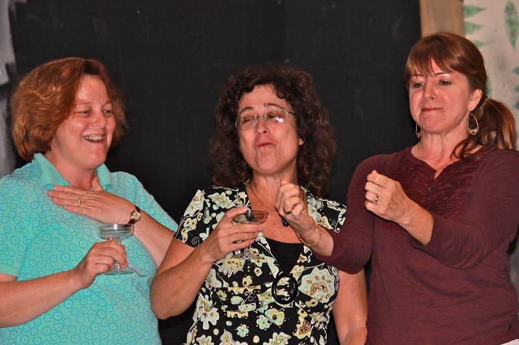 The Dixie Swim Club: Comedy chronicles female friendships through the ...