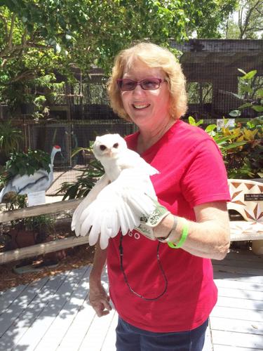 Peace River Wildlife Center is a rare find | News Archives | yoursun.com