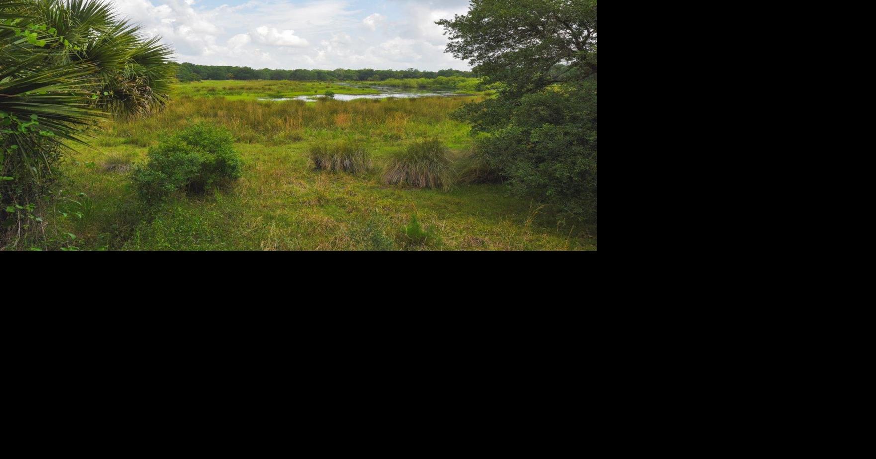 Foundation launches campaign to protect Orange Hammock Ranch | The ...