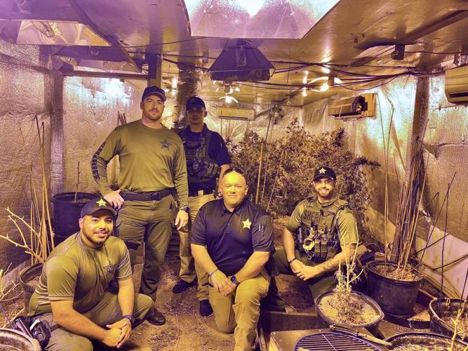 Dog wellness check leads to grow house arrest | News | yoursun.com