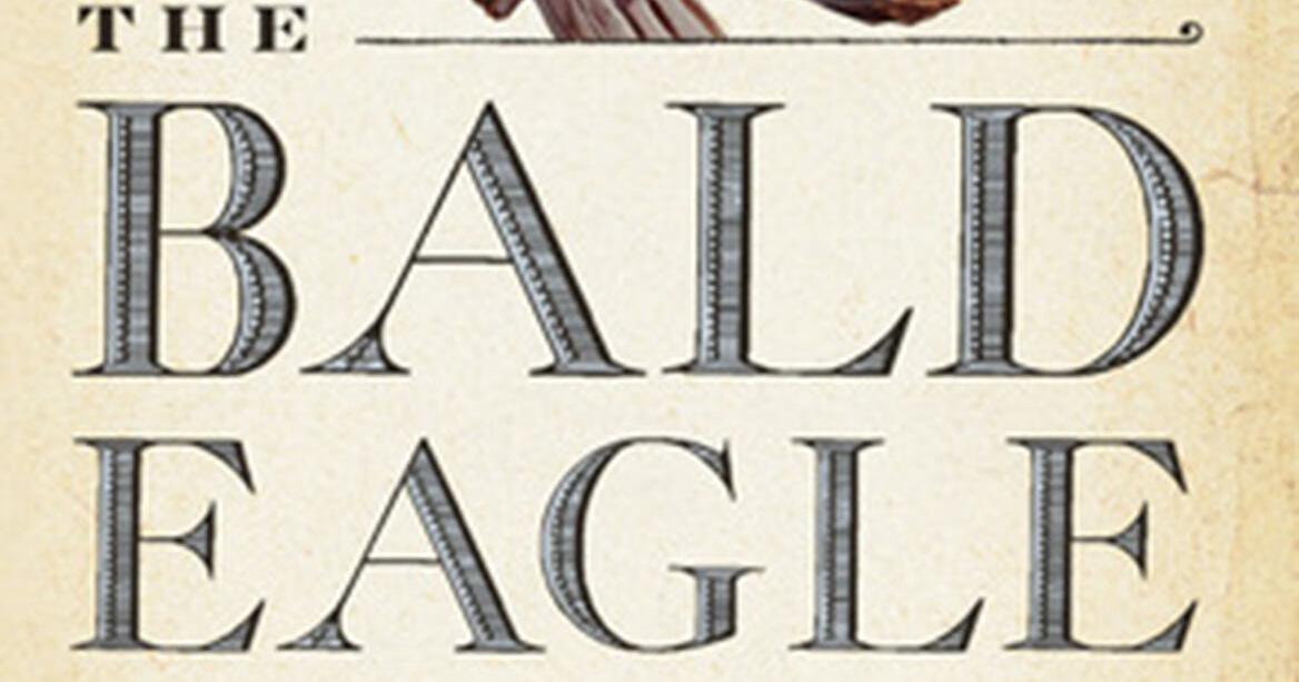 Historian Jack Davis flies high with ‘Bald Eagle’ | Daily Break ...