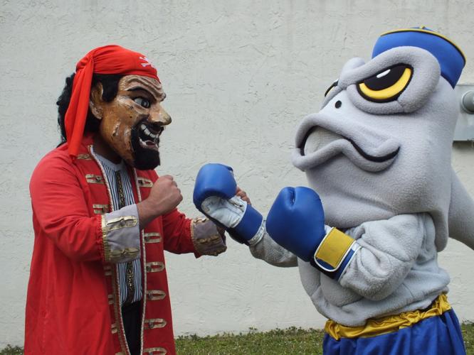 TARPONS vs. PIRATES rivalry divides households | News Archives ...