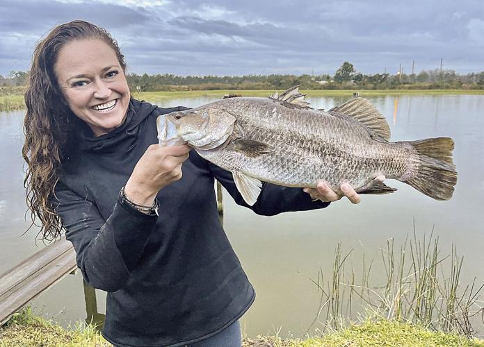 Reader photos | | yoursun.com