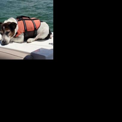 Slack Tides | Waterline | yoursun.com