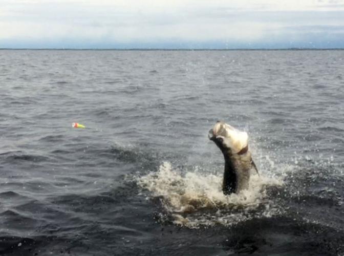 Reader Photos | Waterline | yoursun.com