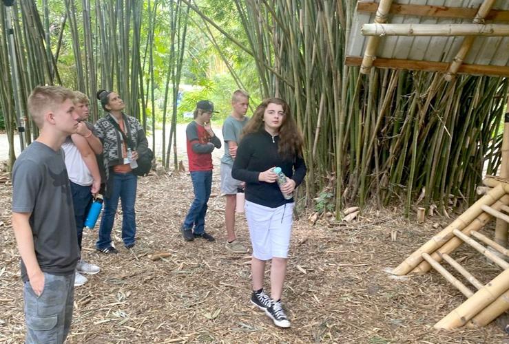 Special needs class wins garden of the year | News | yoursun.com