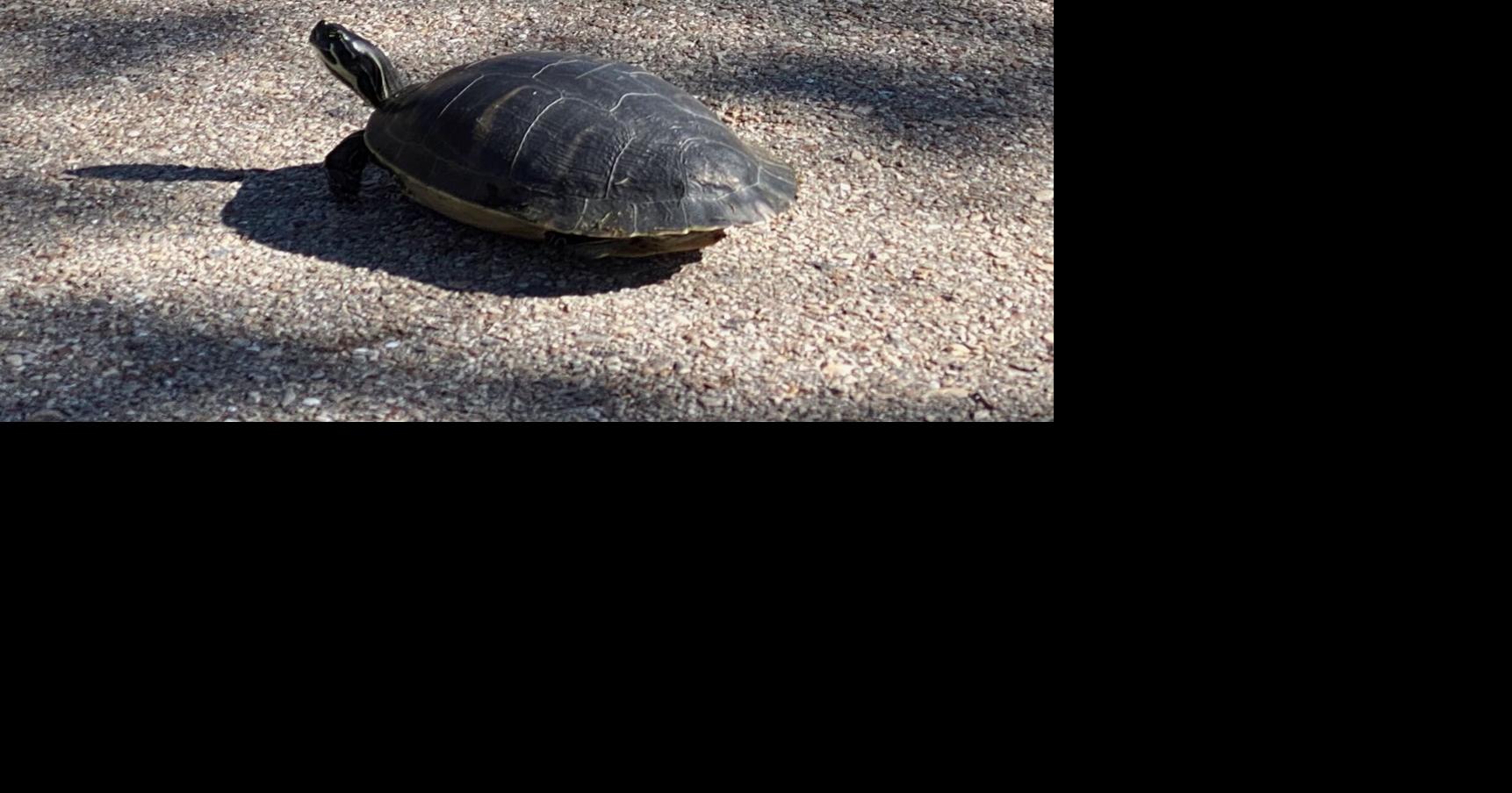 What we need now is steady plodding | Religion | yoursun.com