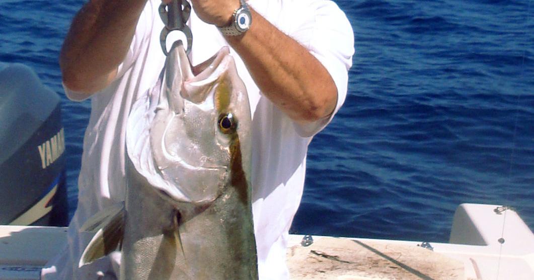 Greater amberjack recreational season to open in Gulf | Waterline ...