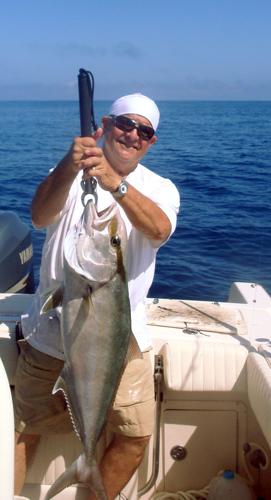 Greater amberjack recreational season to open in Gulf | Waterline ...