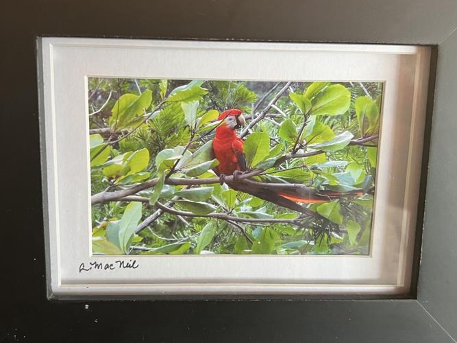 Animals and nature capture this photographer's eye | | yoursun.com