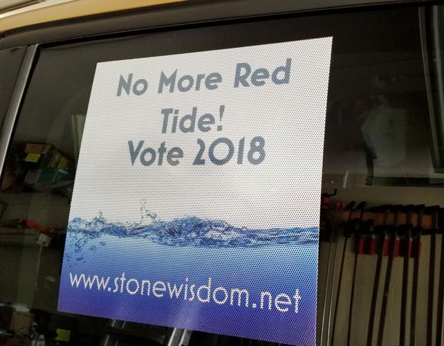 ­Woman tackles red tide with creativity | Features | yoursun.com