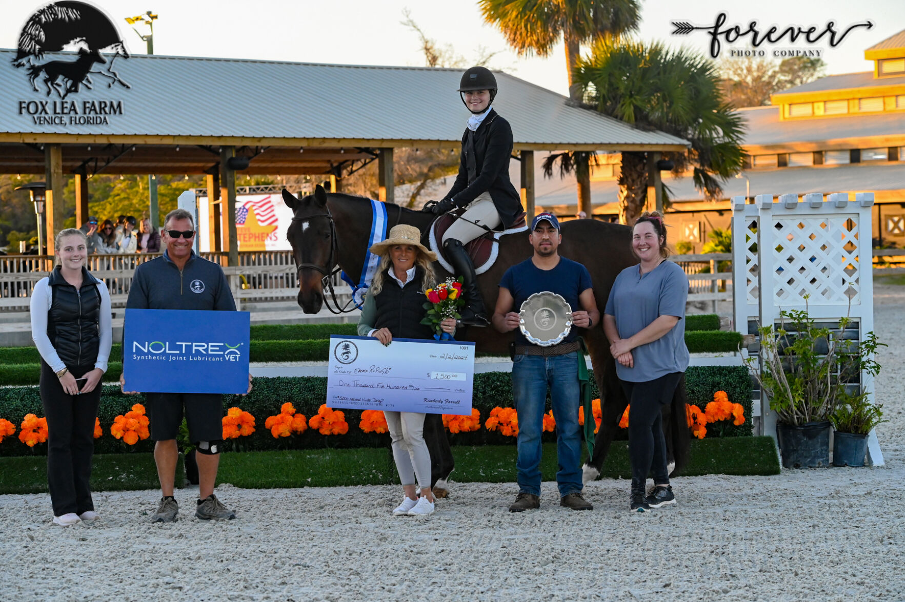 Horsing around at Fox Lea Farm | News | yoursun.com