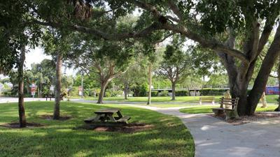 Venice named a Tree City USA again | News | yoursun.com