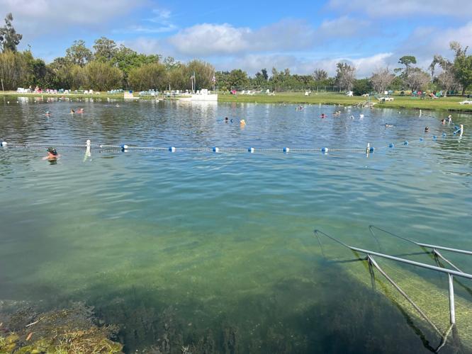 Warm Mineral Springs: 'Love it or leave it' | News | yoursun.com
