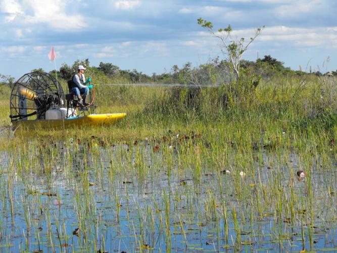 SFWMD helps lead fight against invasive plants | Newsarchives | yoursun.com