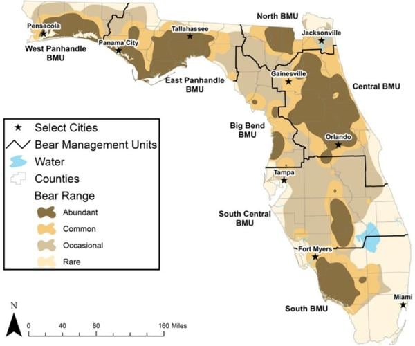 FWC to host bear management webinars | Sebring | yoursun.com