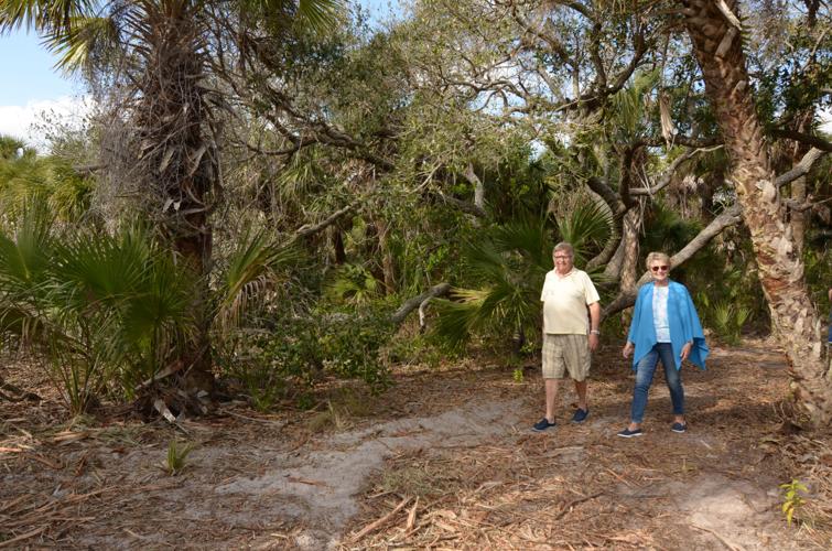 Bocilla Islands Conservancy celebrates preservation | News Archives ...