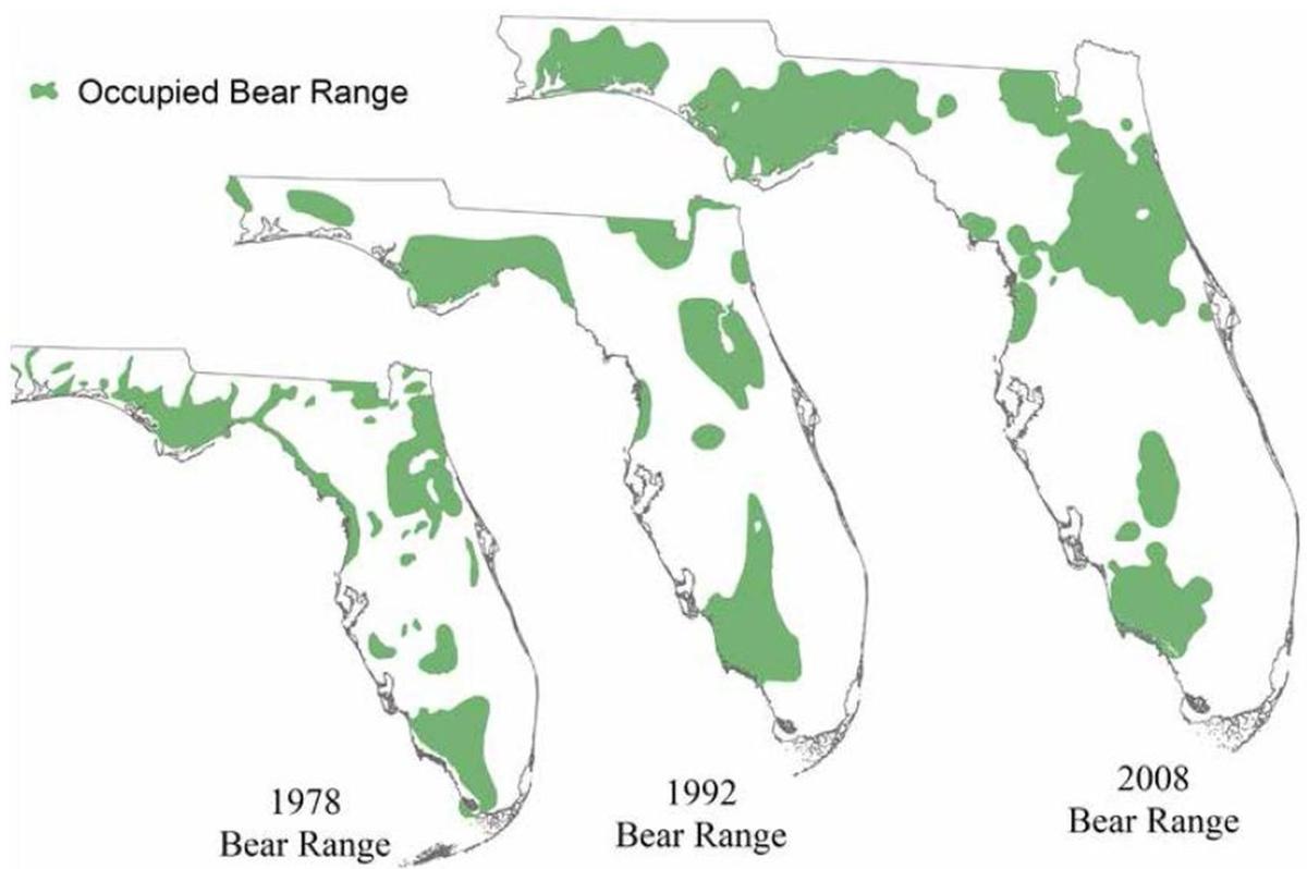 FWC to host bear management webinars | Highlands News-Sun | yoursun.com