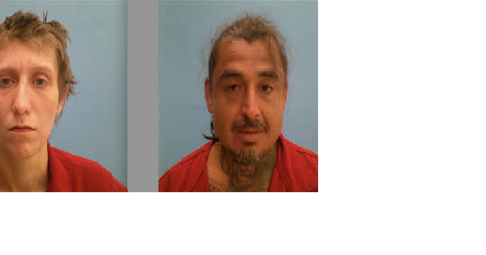 DESOTO COUNTY: Drug bust comes after window-tint stop | News | yoursun.com