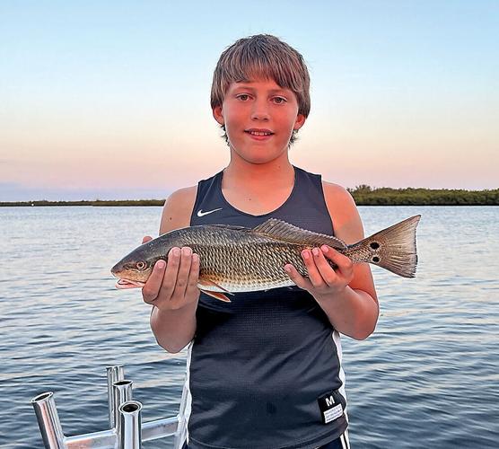 Reader photos | Waterline | yoursun.com