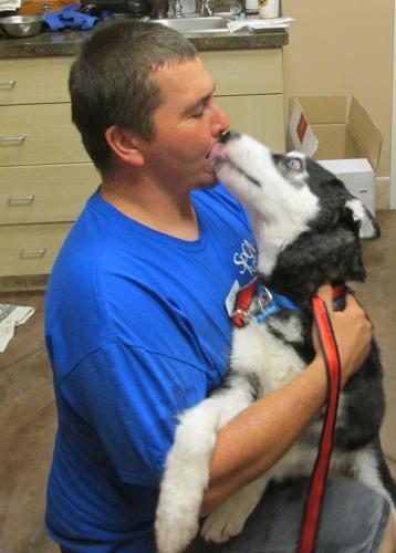 Full of dogs and cats | Newsarchives | yoursun.com