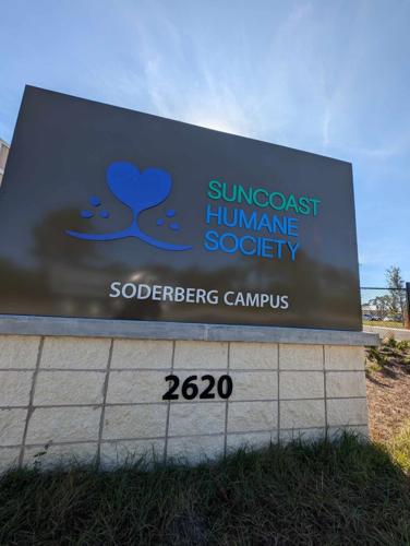 NEW SHELTER: Posh place for potential pets | News | yoursun.com