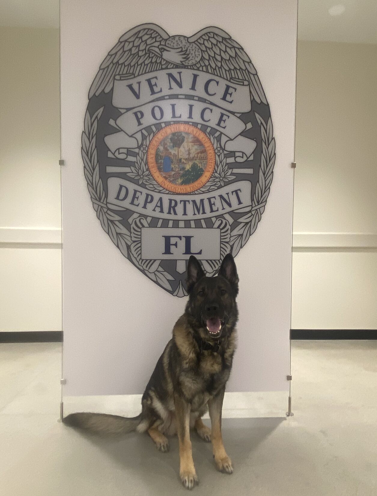 Venice Police K-9, officer, retiring | Venice Gondolier Sun | yoursun.com