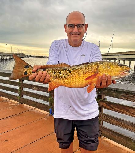 Reader photos | Waterline | yoursun.com