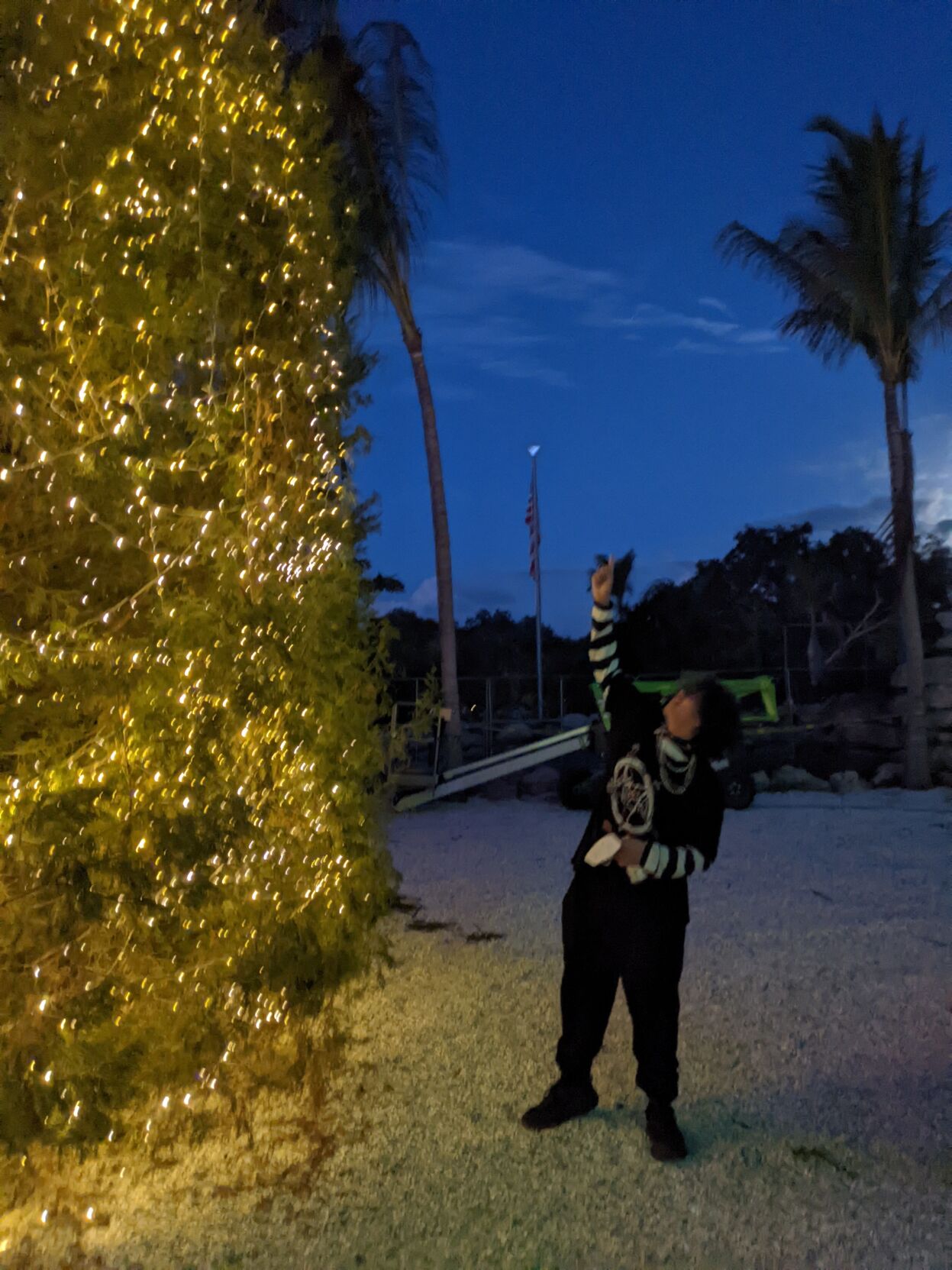 Santa zip lines into The Hollow | News | yoursun.com