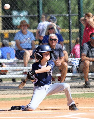 Jackson a big factor as Tigers win borders championship | The Daily Sun ...
