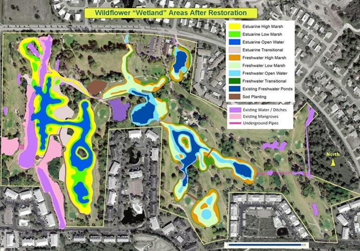 New Lemon Creek Wildflower Preserve offers guided nature walks | The ...