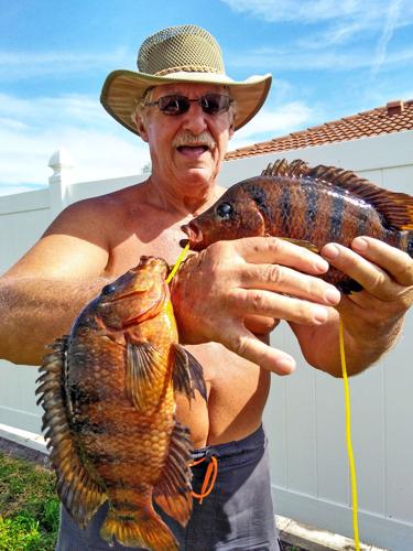 Reader photos | Waterline | yoursun.com