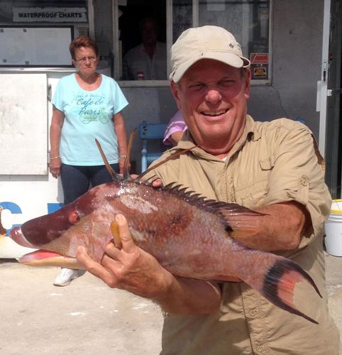 Reader Photos | Waterline | yoursun.com