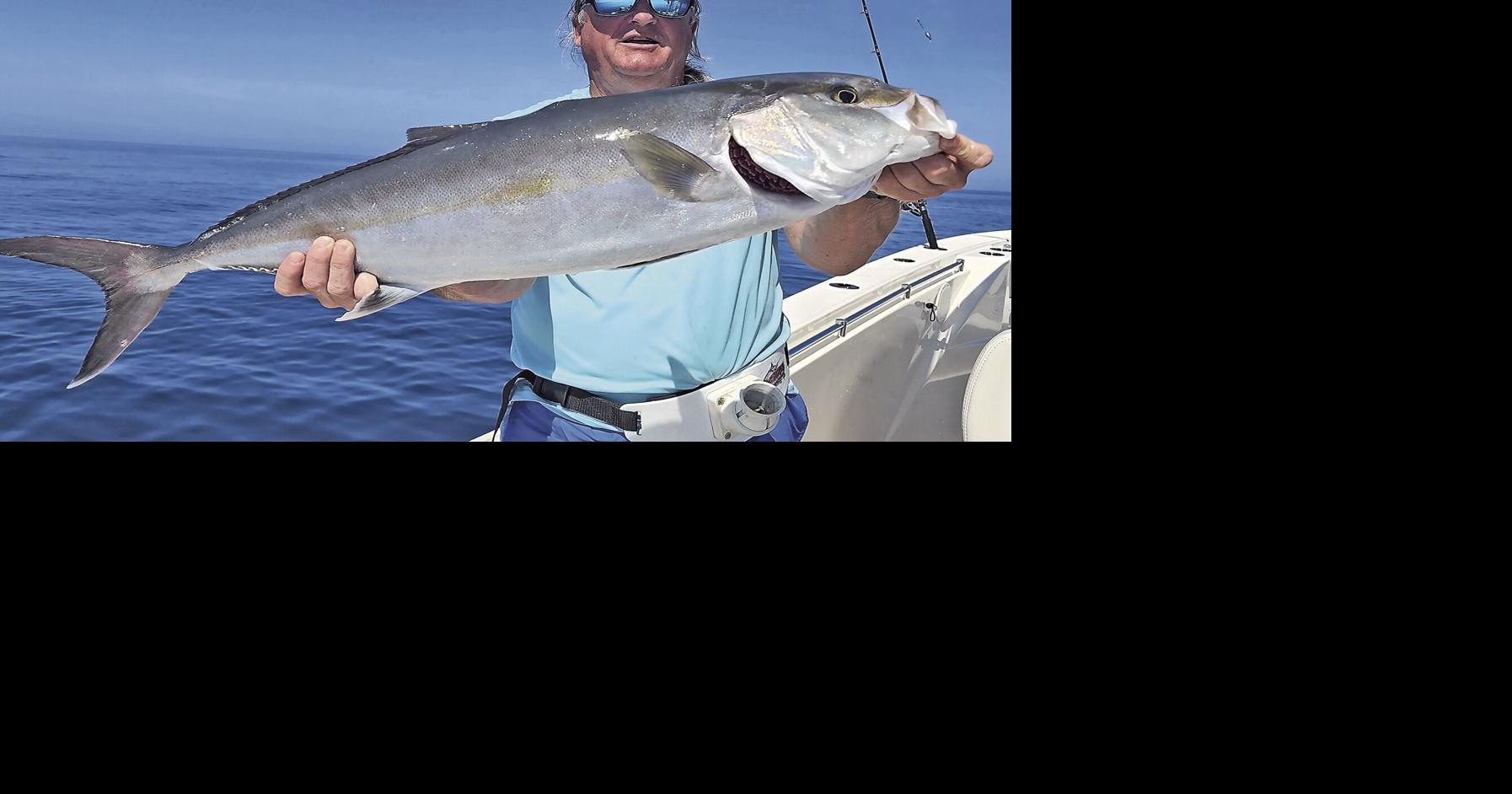 Riding the reef donkey | Waterline | yoursun.com