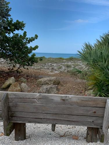 The serenity of benches | News | yoursun.com