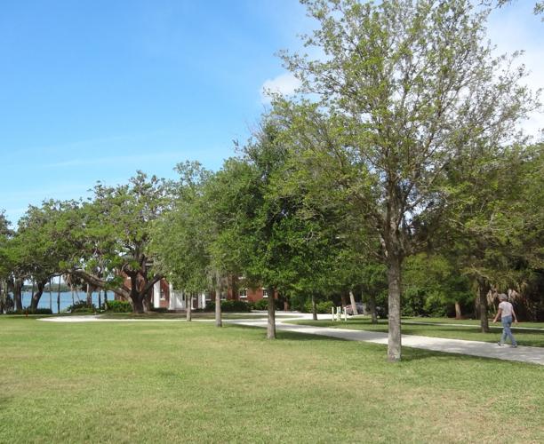 Bay Preserve at Osprey offers a step back in time | News Archives ...