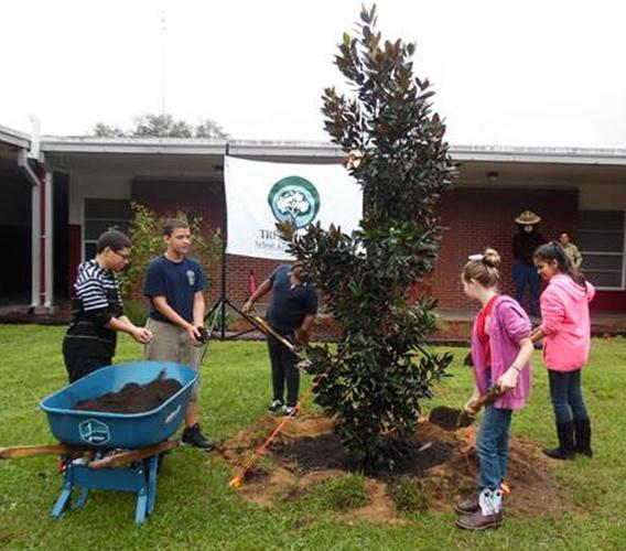 Annual tree planting celebrates Tree City USA/Arbor Day | Newsarchives ...