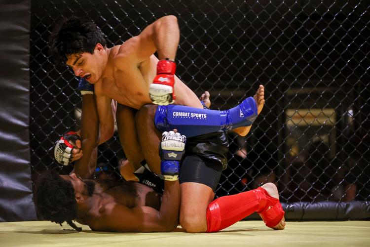 Valhalla MMA hosts cage fighting in Venice | | yoursun.com
