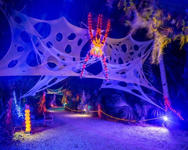 Encounter fantastically fun creations and unique Halloween light ...