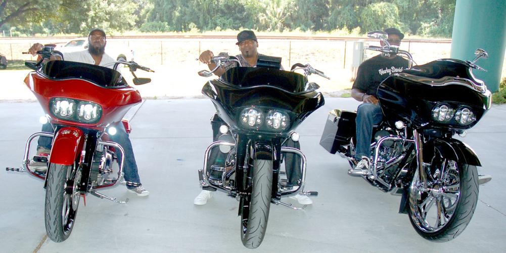 Bring on the Hogs | Newsarchives | yoursun.com